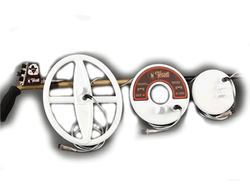 Tesoro Outlaw metal detector free shipping